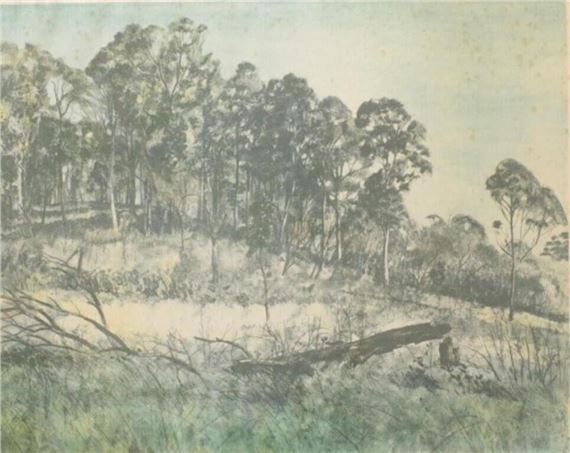 Brian Dunlop | Landscape | MutualArt