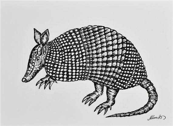 Danilo Marchi | Danilo Marchi ARMADILLO china su cartoncino, cm 24x33 ...