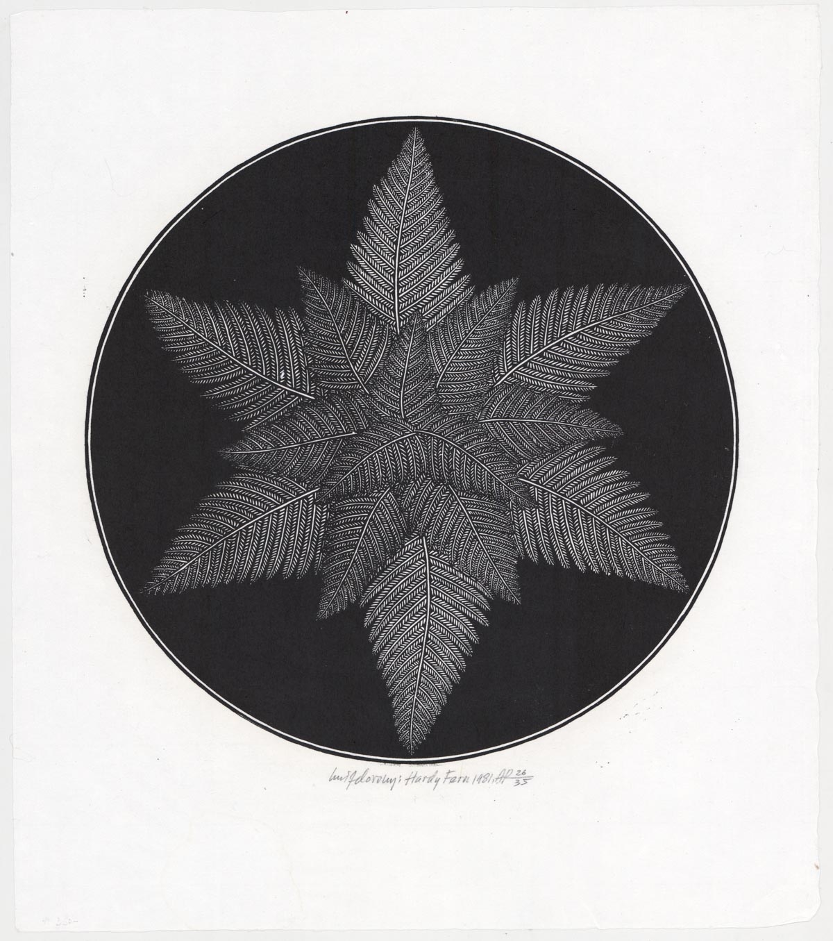 Jacques Hnizdovsky | Jacques Hnizdovsky Hardy Fern (1981) | MutualArt