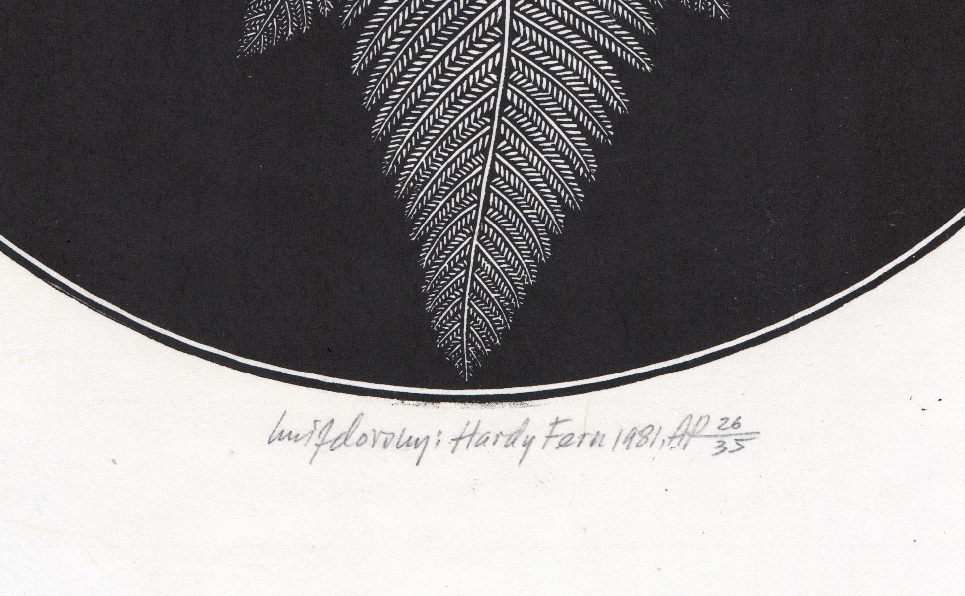 Jacques Hnizdovsky | Jacques Hnizdovsky Hardy Fern (1981) | MutualArt