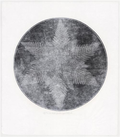 Jacques Hnizdovsky | Jacques Hnizdovsky Hardy Fern (1981) | MutualArt