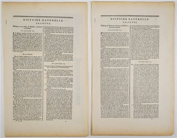 Denis Diderot | Histoire Naturelle | MutualArt