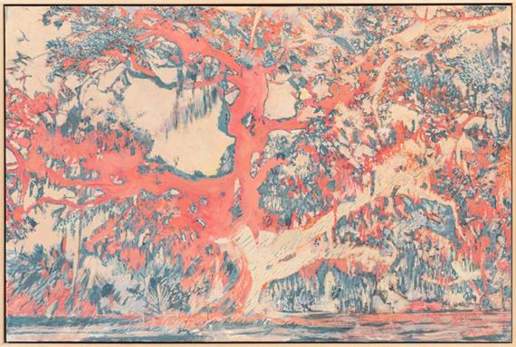 Connor Mcmanus | Biography