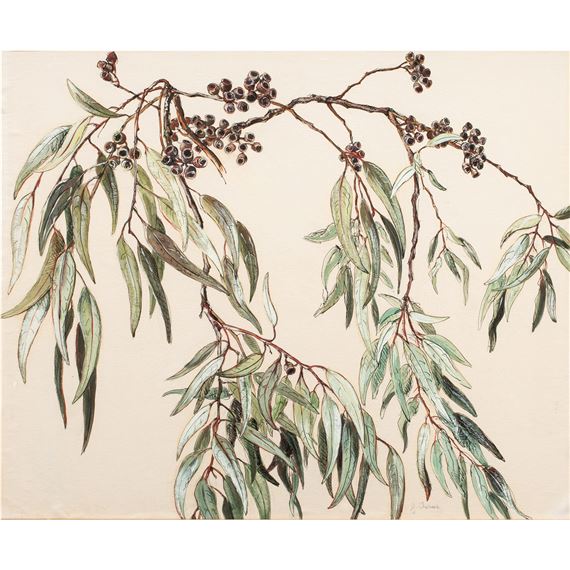 Janet Turner | Eucalyptus Branch | MutualArt