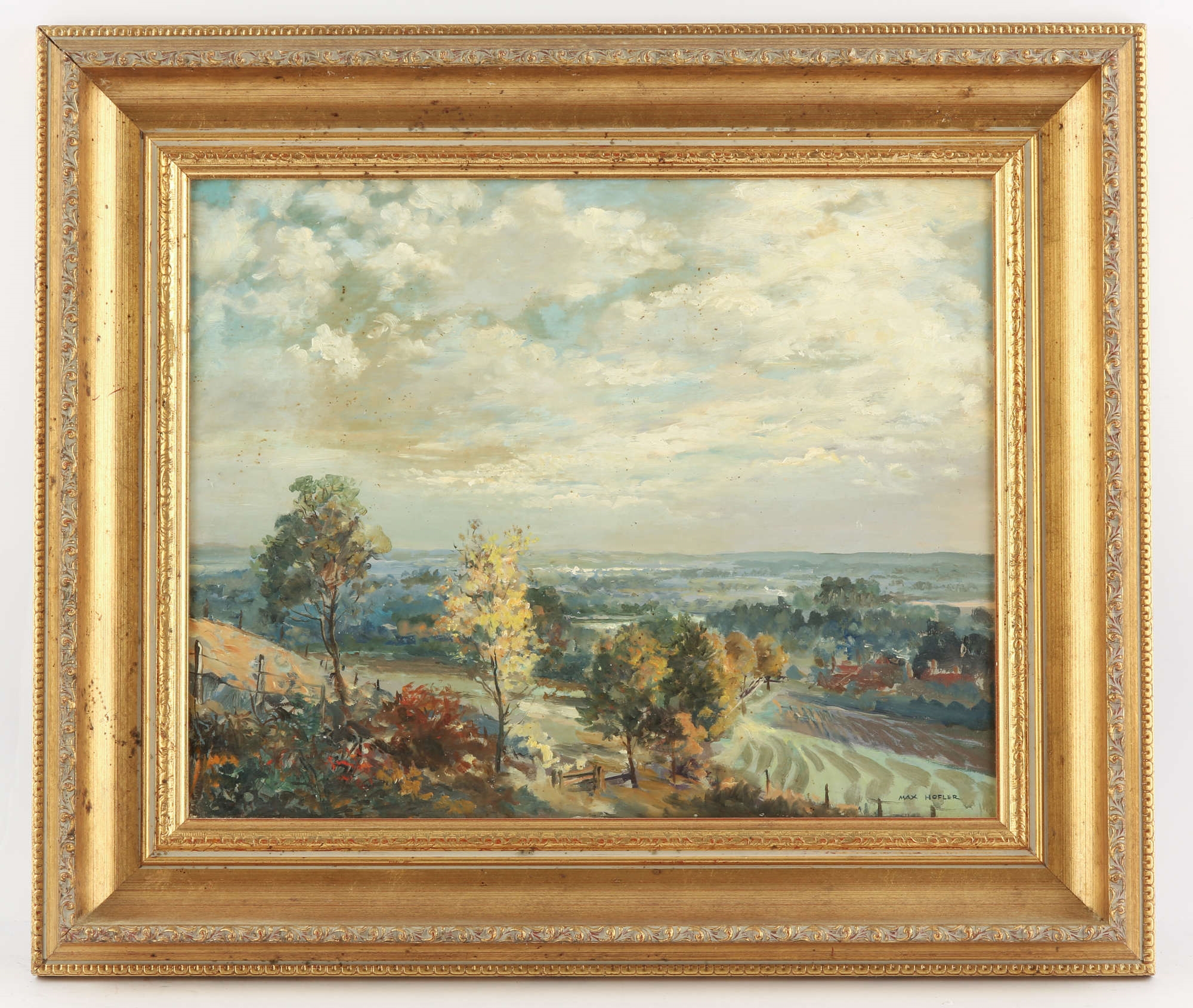 Max Hofler | an extensive hilltop view | MutualArt