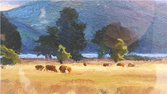 Colin Robertson | 1 Artworks at Auction | MutualArt