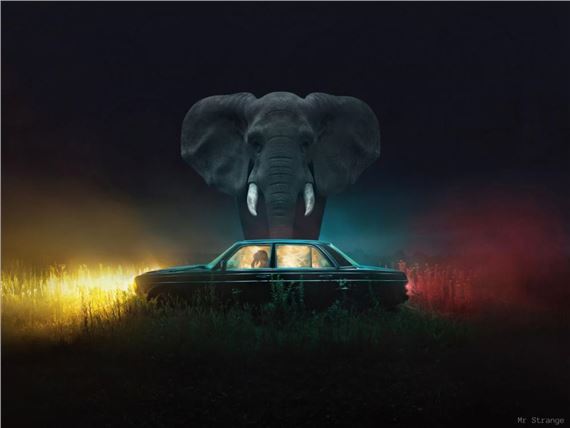 Mr. Strange | Night Stop in the Bush V2 | MutualArt