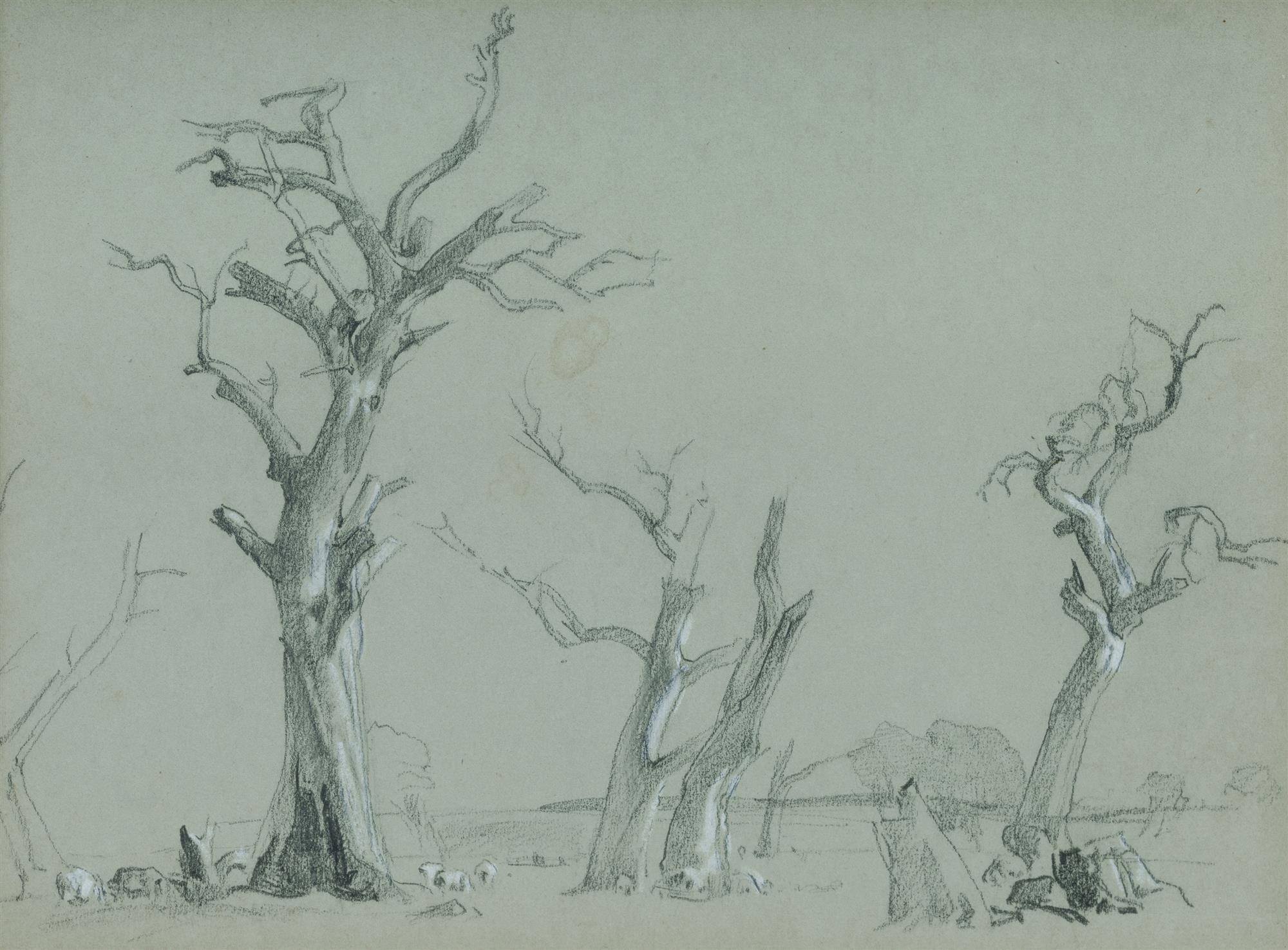Hans Heysen | Study of Dead Red Gums | MutualArt