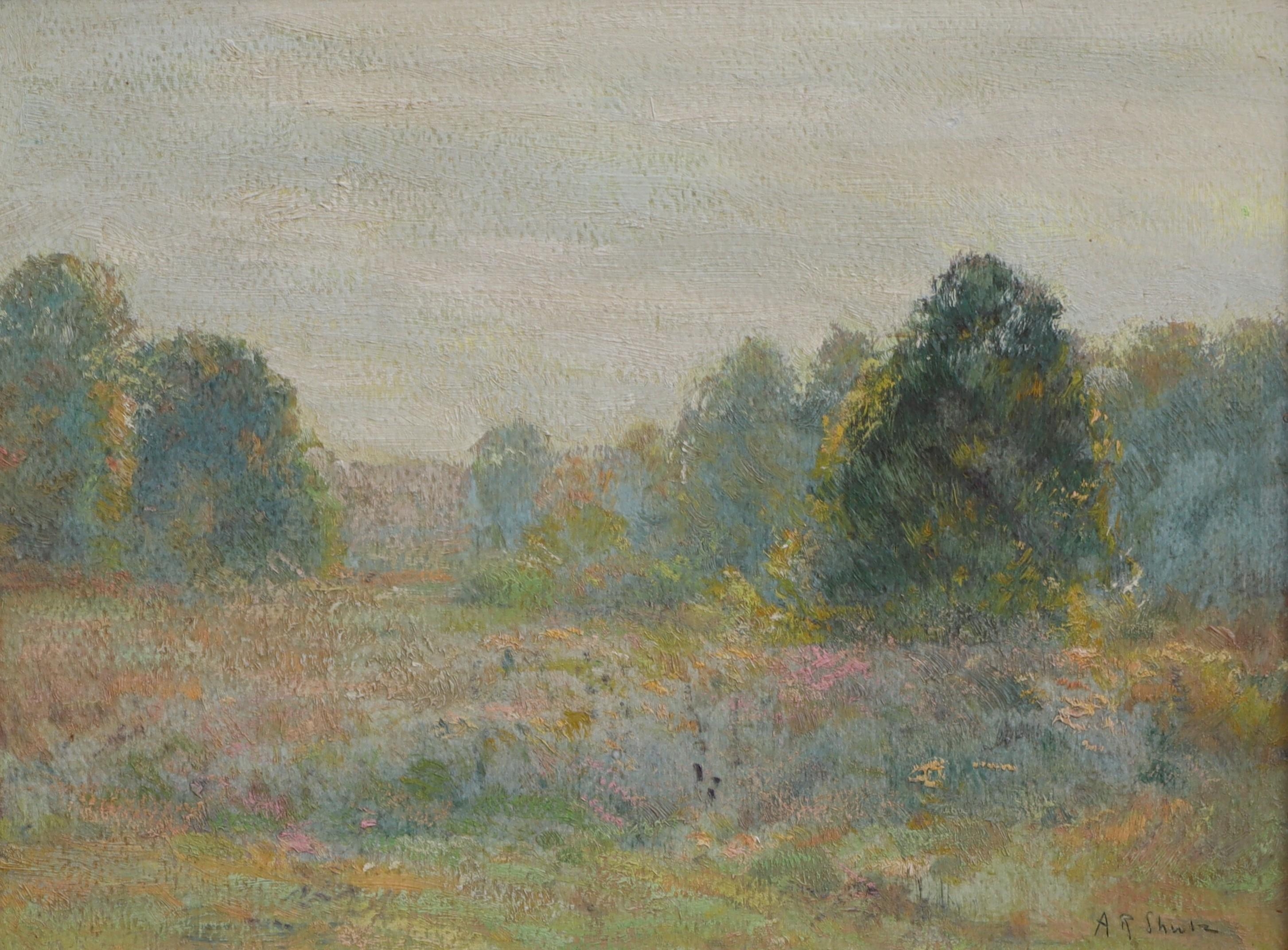 Adolph Robert Schulz | Brown County Spring Landscape | MutualArt