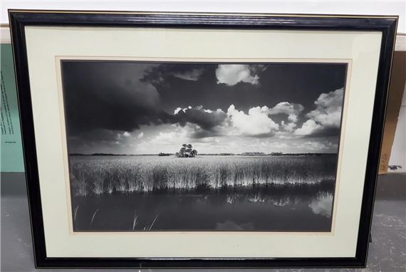 Clyde Butcher | Ochopee #3 | MutualArt