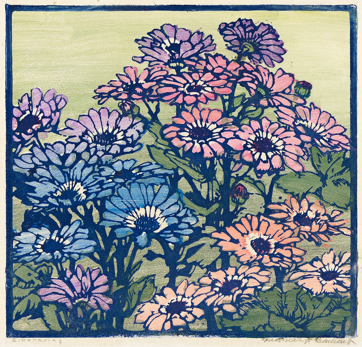 Frances H. Gearhart | Cinerarias | MutualArt
