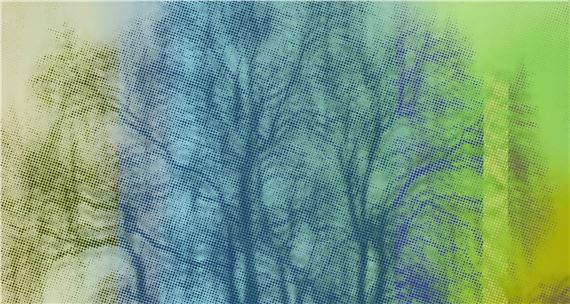 Paul Rusconi | Exhibitions | MutualArt