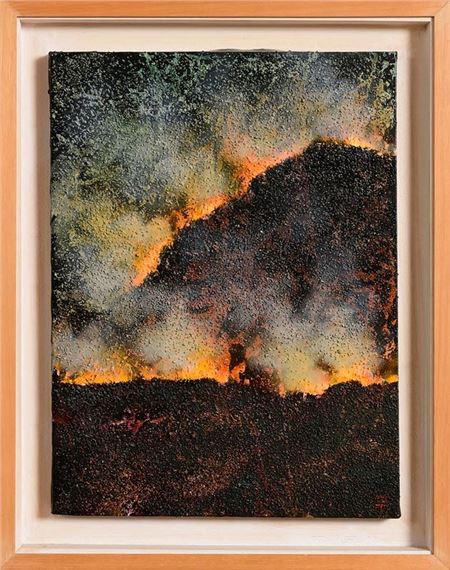 Tim Goulding | Land Burn (2002 (2002) | MutualArt