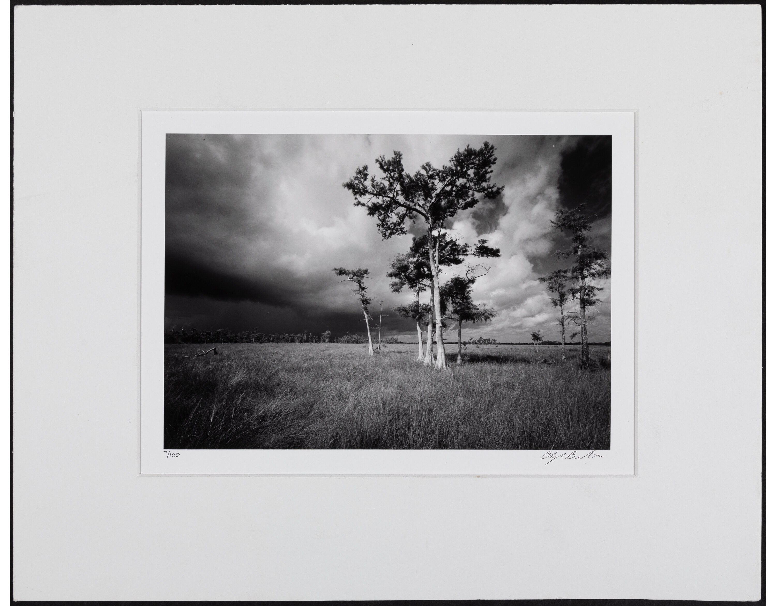 Clyde Butcher | Tamiami Trail #2 (1990) | MutualArt