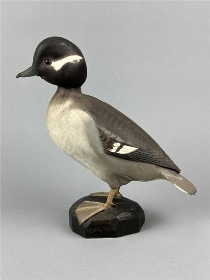 William Walton | William Walton Bufflehead Hen | MutualArt