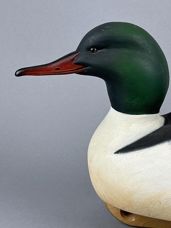 Gary Hanson | Gary Hanson Common Merganser Drake | MutualArt
