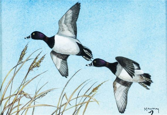 Lee Mauney | Ring-Neck Ducks Flying | MutualArt