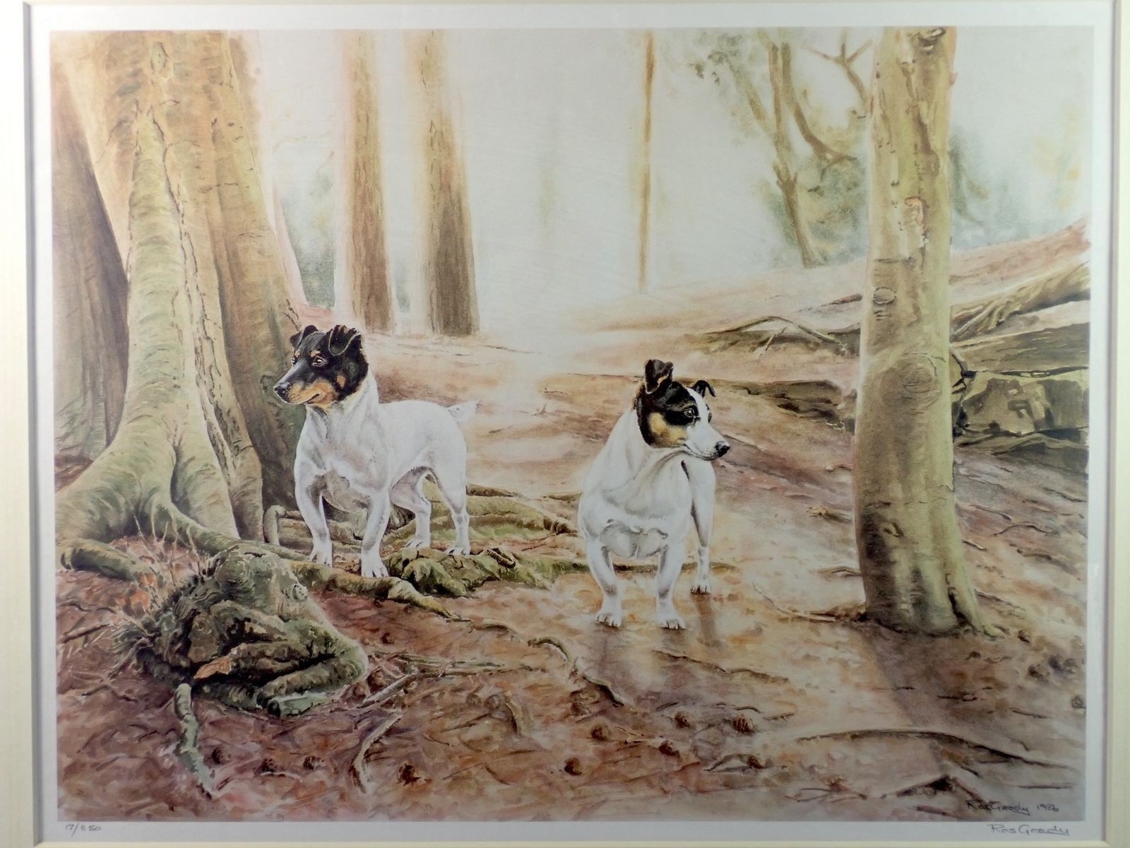 Ros Goody | Ros Goody - limited edition print of Jack Russells, 37 x ...