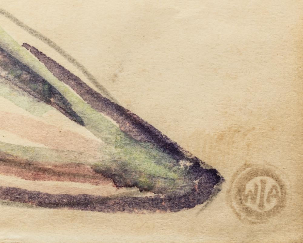 Walter Inglis Anderson | Tiger Lily | MutualArt