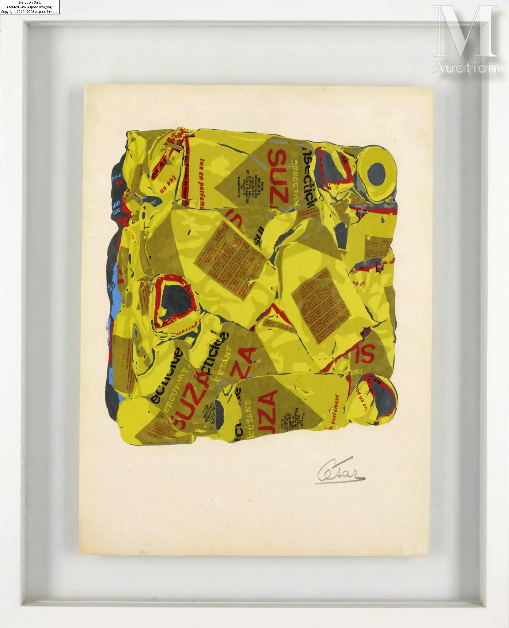 César Baldaccini | Portrait de compression | MutualArt