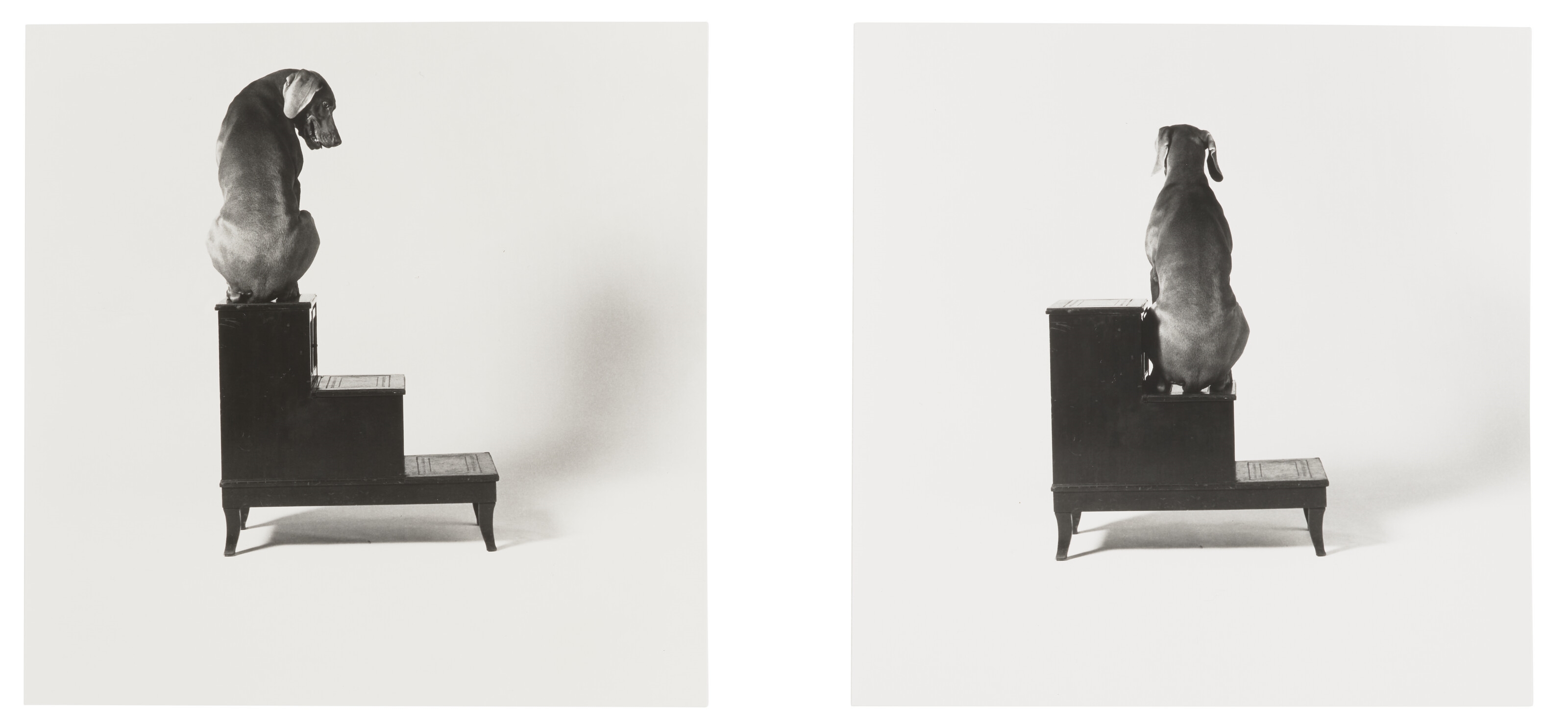 Various Artists | The Indomitable Spirit, 1989 (1989) | MutualArt