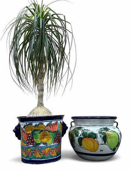 Unknown | Two Large Mexican Talavera Pottery Planters, One With ...