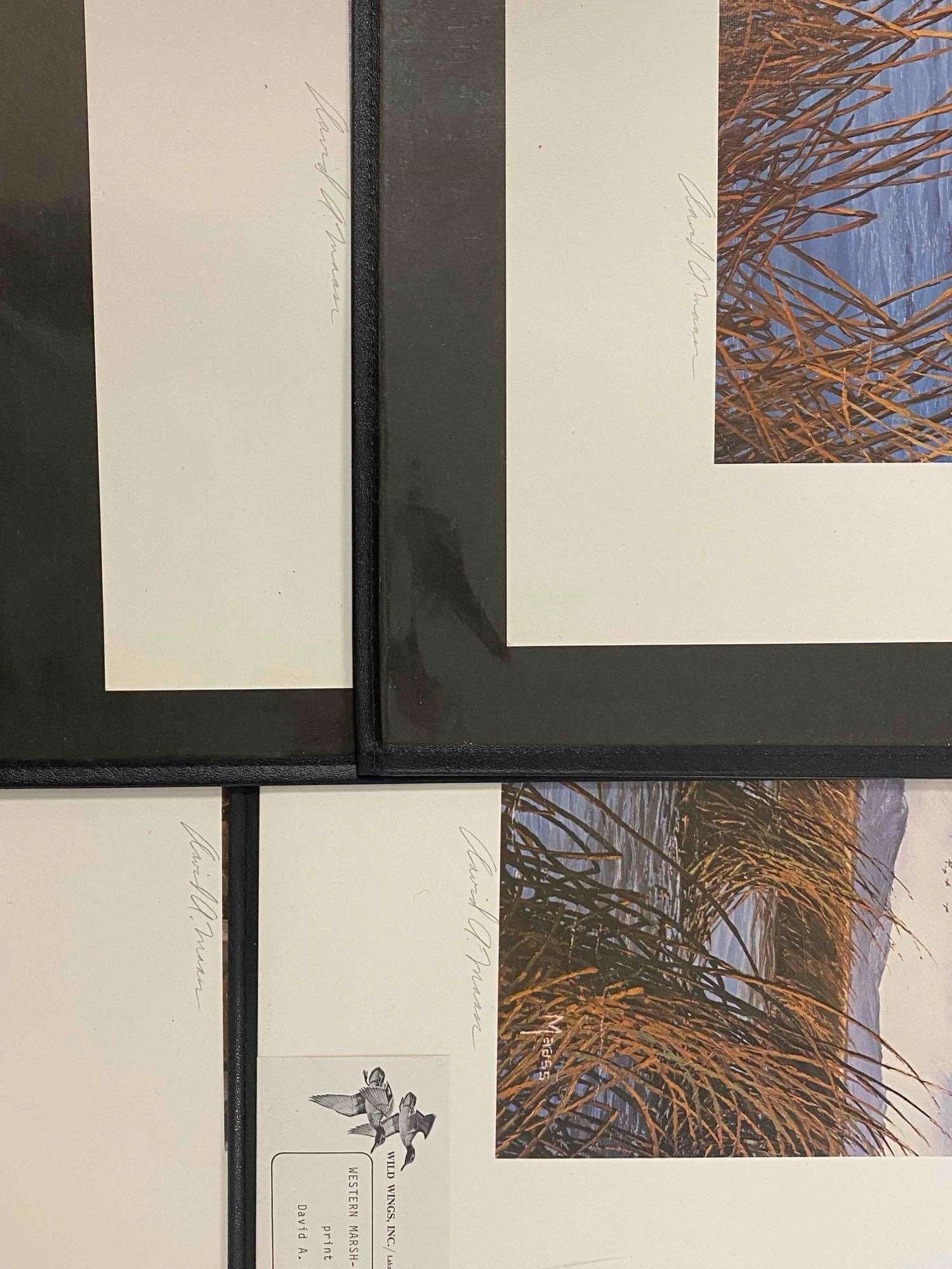 David Maass | Group of 8 Limited Edition Signed and Numbered David ...