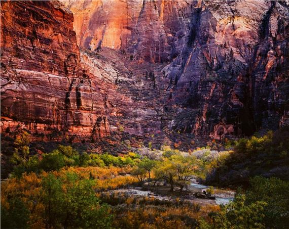 Christopher Burkett | Christopher Burkett Twilight | MutualArt