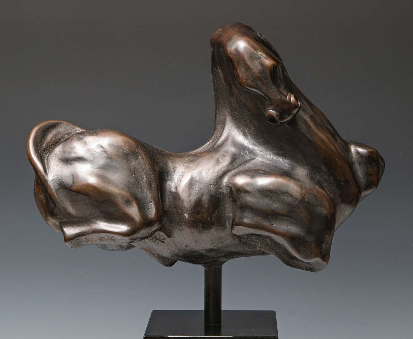 Anton ter Braak | 'Paardentorso' | MutualArt