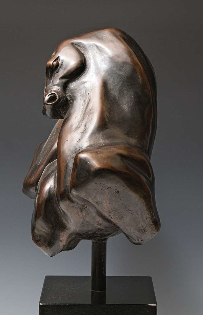 Anton ter Braak | 'Paardentorso' | MutualArt