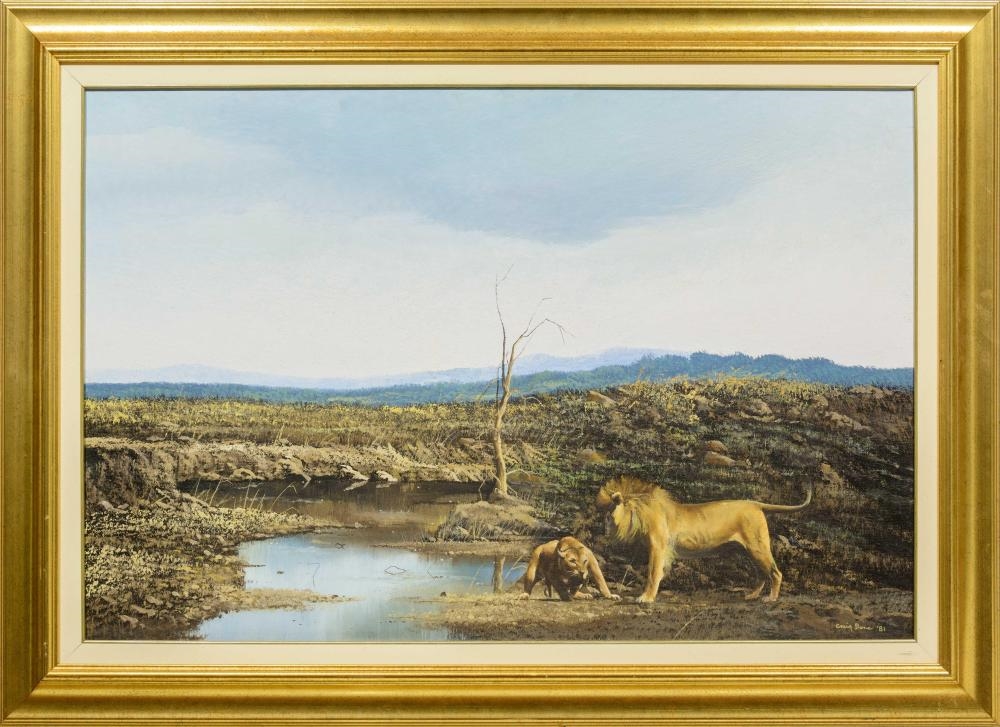 Craig Bone | Lions (81) | MutualArt