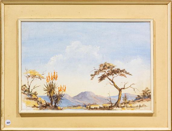 Andre Grobler | Landscape with Aloes | MutualArt