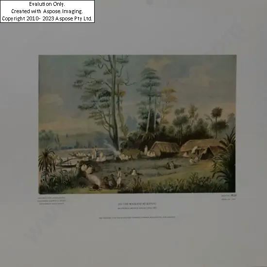 George French Angas | On the Waikatp at Kapou | MutualArt