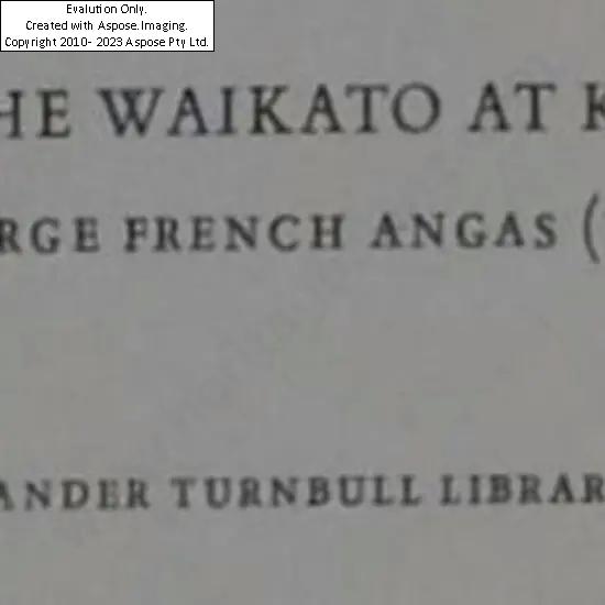 George French Angas | On the Waikatp at Kapou | MutualArt