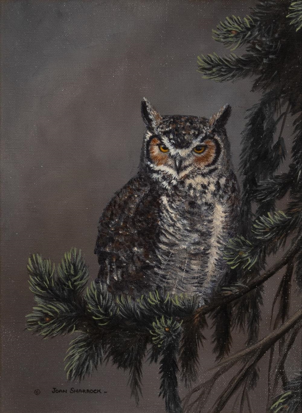 Joan Sharrock | Great Horned Owl | MutualArt