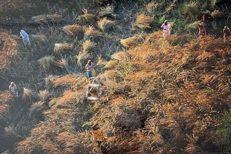 Yann Arthus-Bertrand | Yann ARTHUS-BERTRAND (born 1946) Color ...
