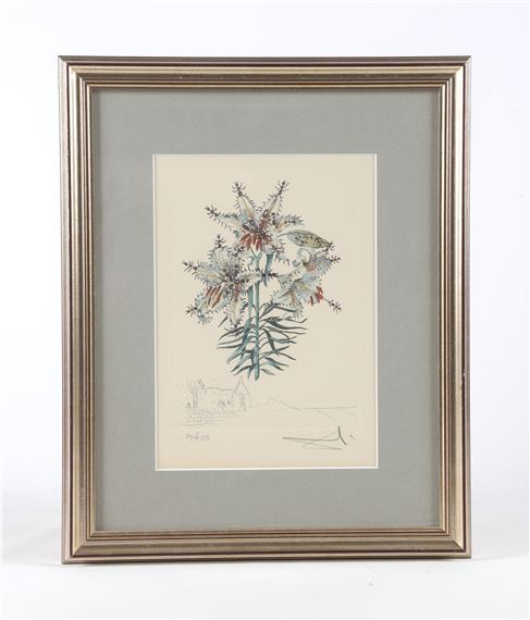 Salvador Dalí | Lilium Auratum Formicans | MutualArt