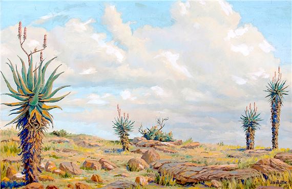 Jan Schutte | ALOES IN THE LANDSCAPE | MutualArt