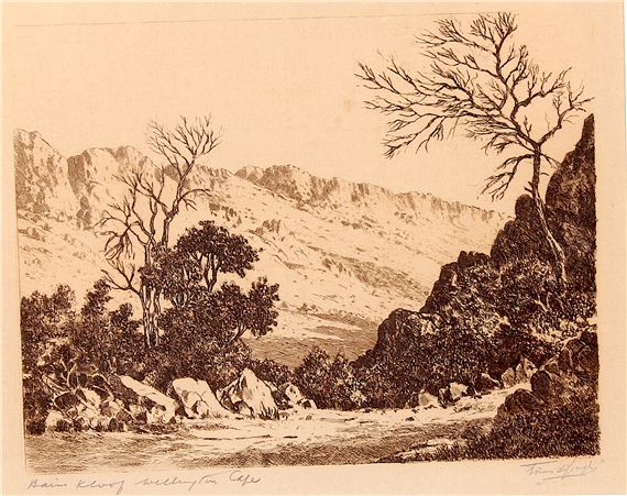 Tinus‏ de Jongh | BAINS KLOOF WELLINGTON CAPE | MutualArt