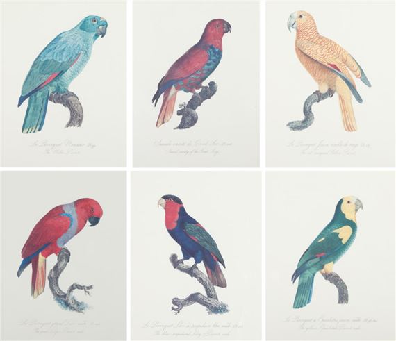 Jacques Barraband | NATURAL HISTORY OF PARROTS (6 | MutualArt