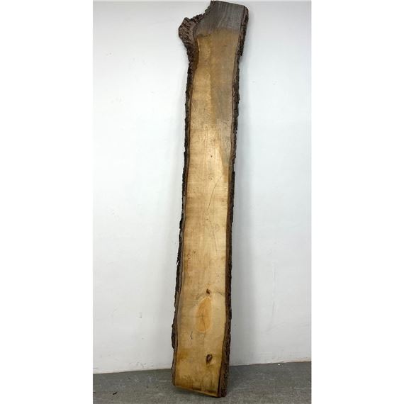 Slice | 114 Long Live Edge Wood Tree Slab Slice. Great for woodworker ...