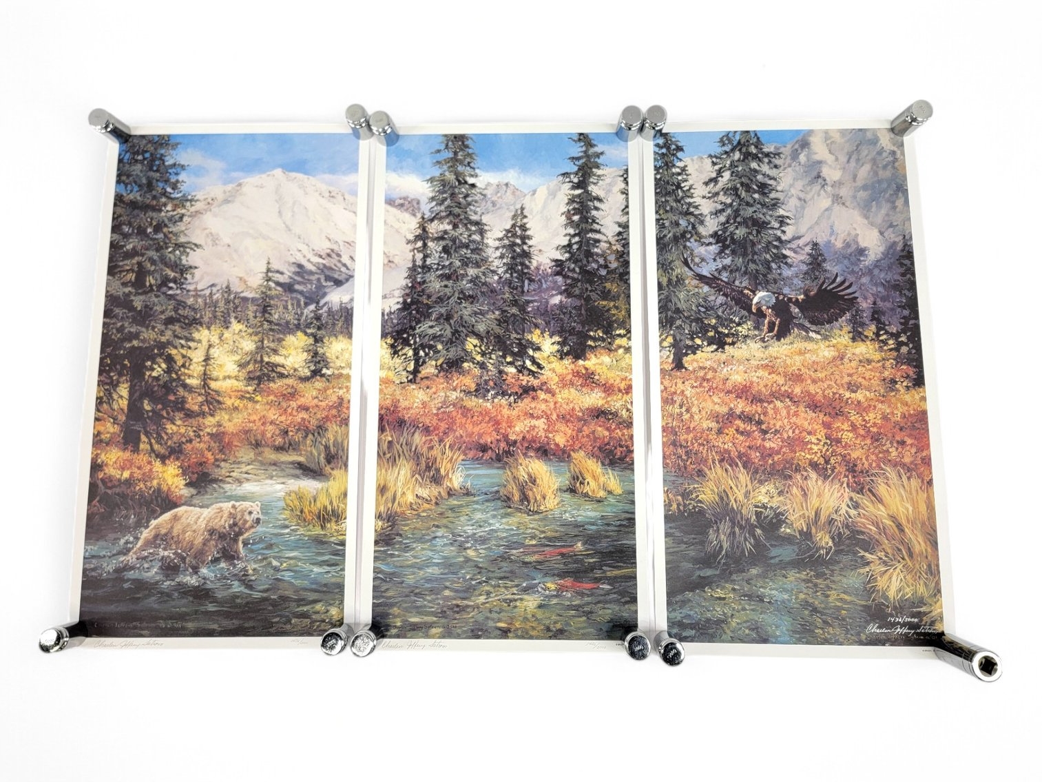 Charlen Jeffery Satrom | Bear & Bald Eagle triptych | MutualArt