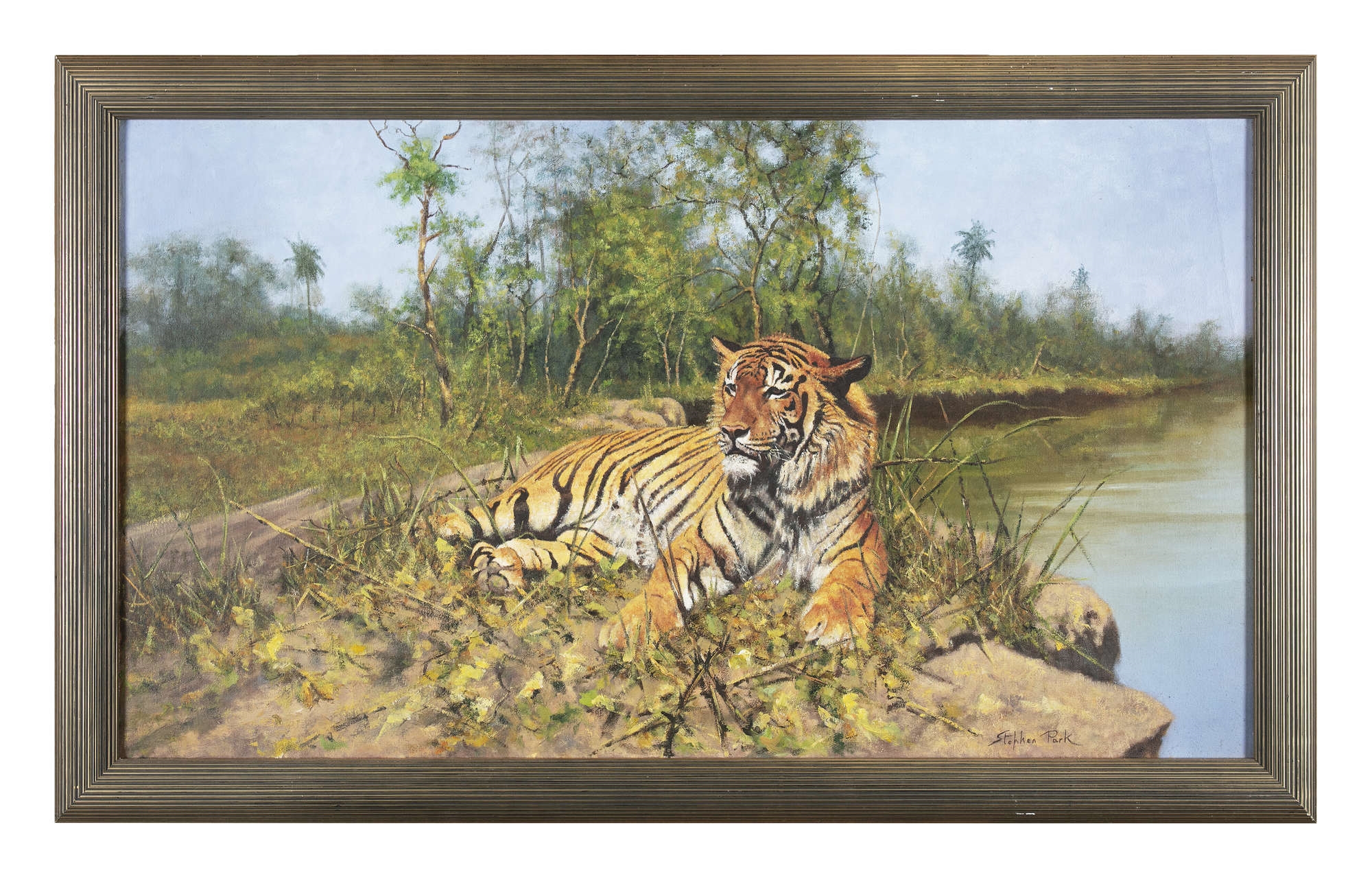 Stephen Park | A Tiger Lying by a Riverbank | MutualArt