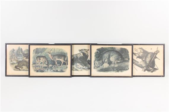 John James Audubon | Lot of 5 Audubon Lithographs Quadrupeds of N ...