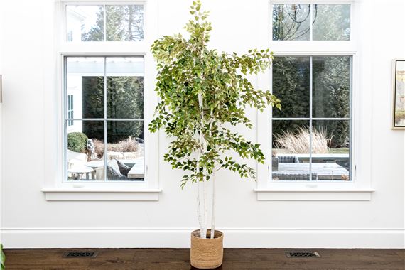 Planter | Faux Birch Tree In Woven Planter | MutualArt