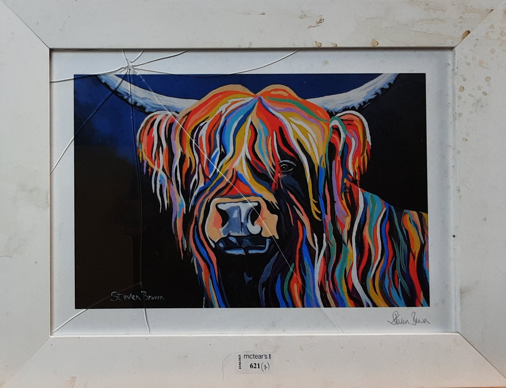 Steven Brown | HEAD OF A HIGHLAND COW | MutualArt