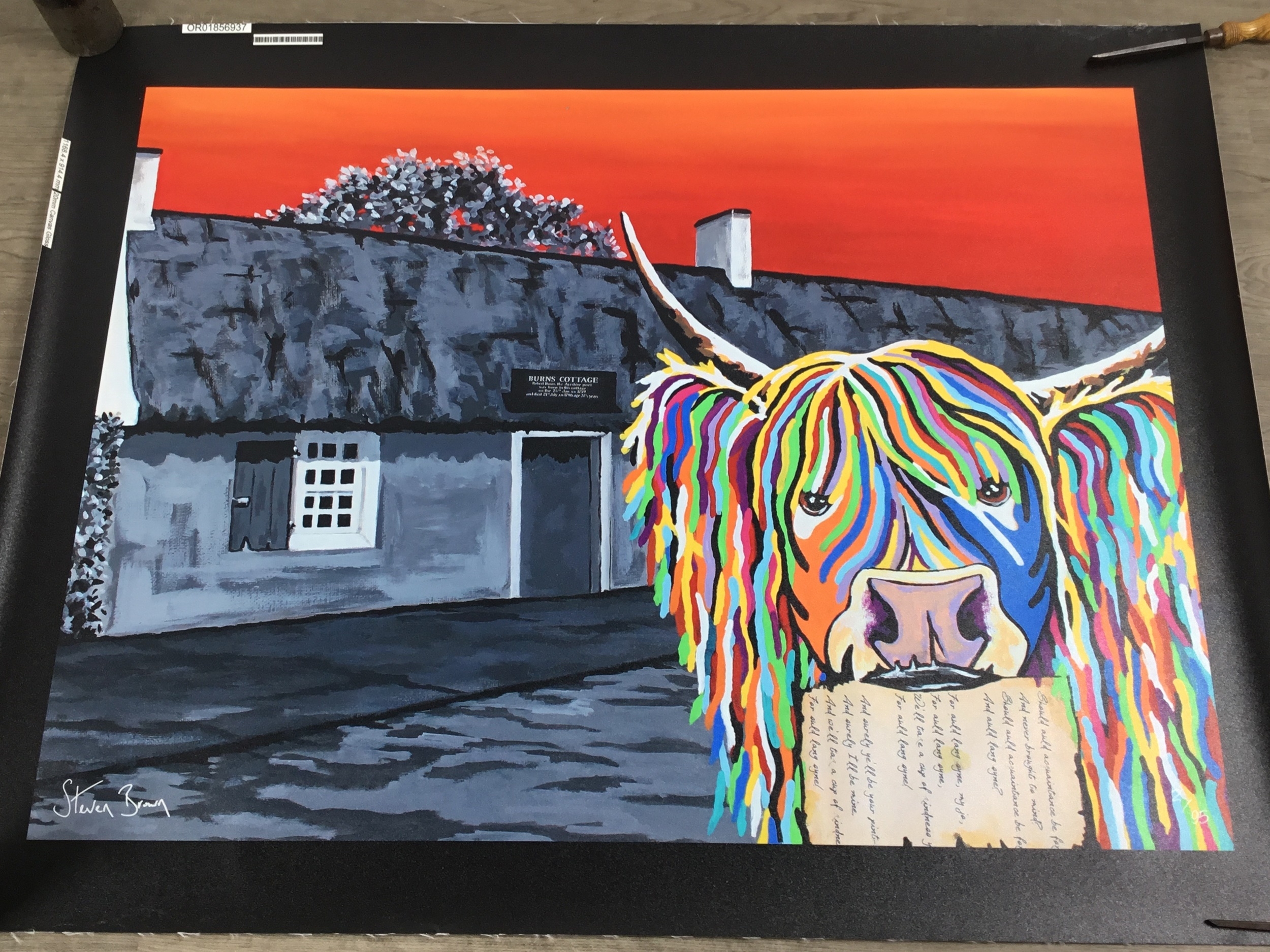 Steven Brown | HIGHLAND CATTLE STUDIES | MutualArt