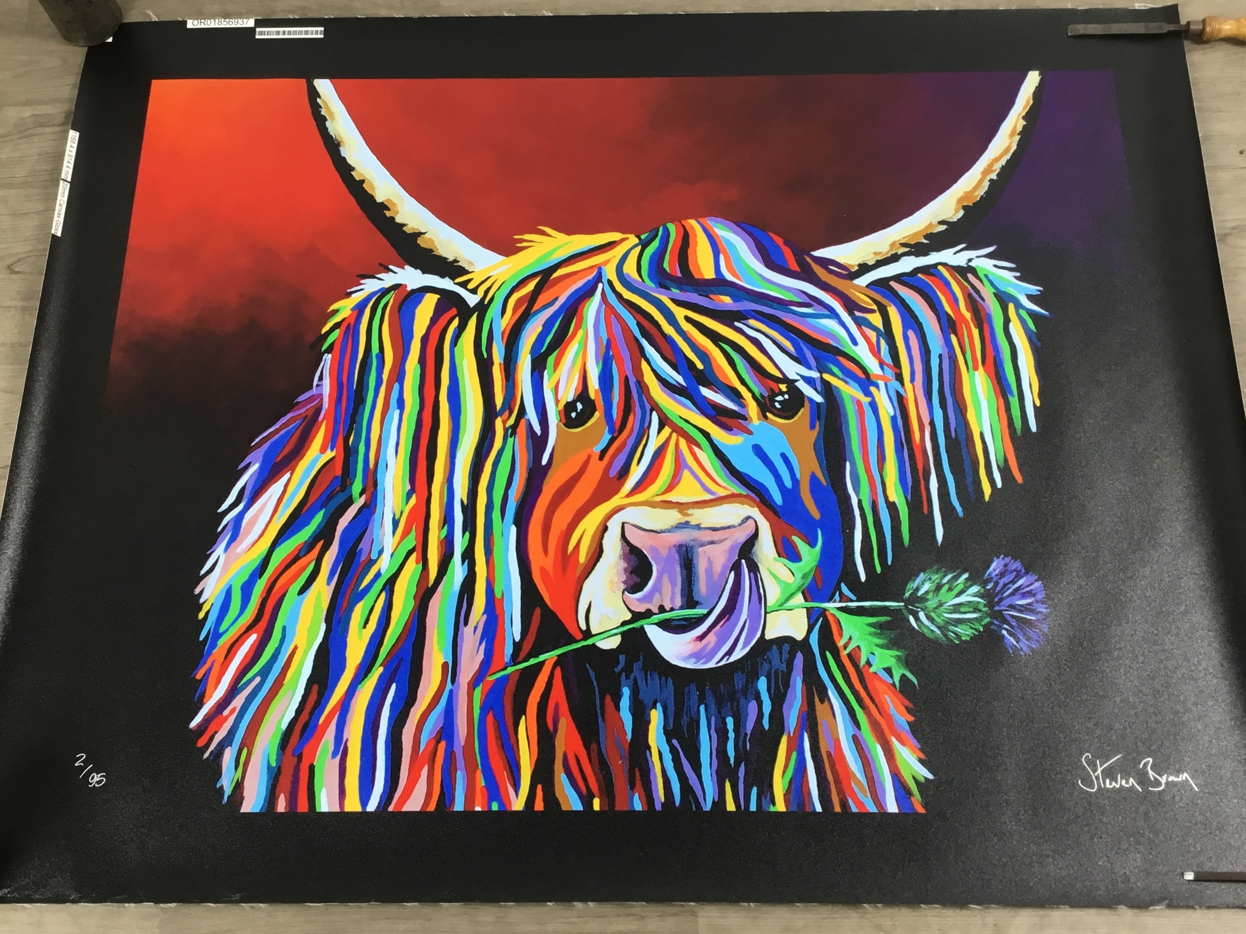 Steven Brown | HIGHLAND CATTLE STUDIES | MutualArt