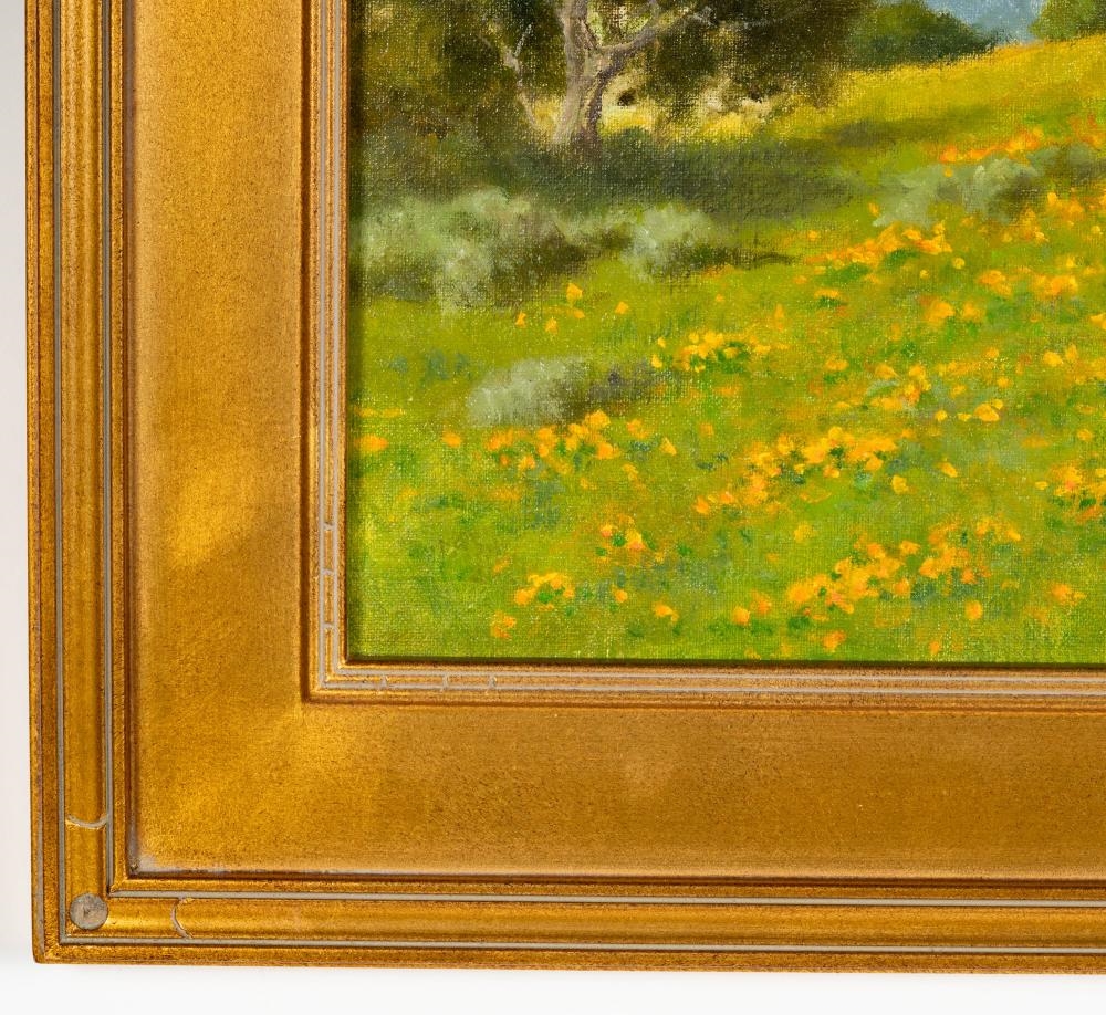 David Chapple | Flowering Hillside | MutualArt