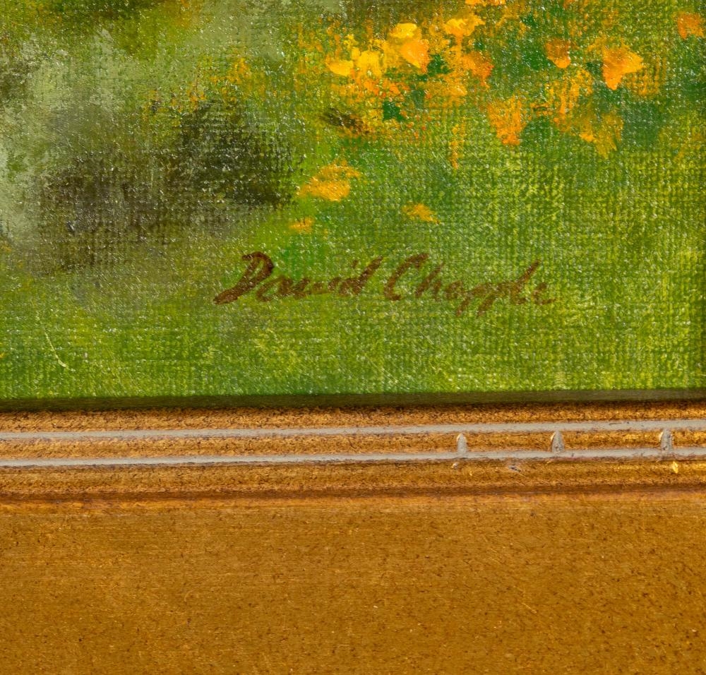 David Chapple | Flowering Hillside | MutualArt